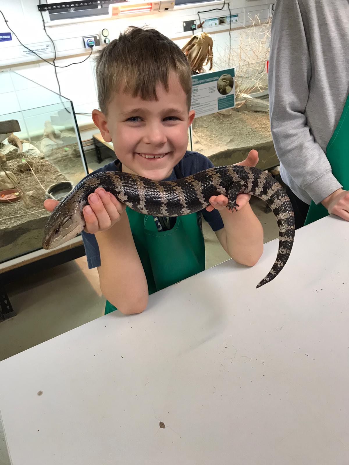 February half-term ANIMAL ACADEMY GOES DOWN A STORM - BCA Zoo